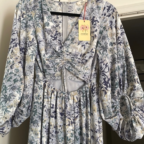 entro | Dresses | Entro Blue Floral Maxi Dress | Poshmark